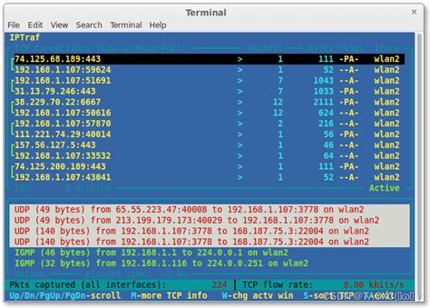 linux 中的 20 大网络监控工具 linux监控软件 csdn博客