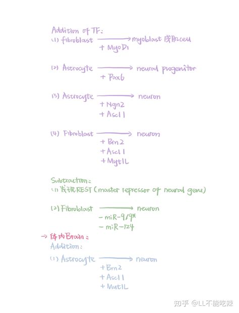 【综述总结】干细胞与神经退行性疾病 知乎