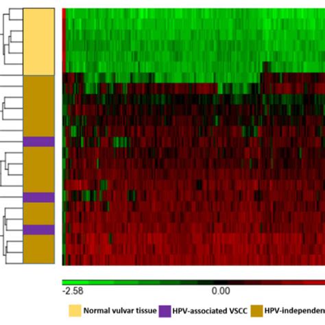 unsupervised hierarchical clustering of the differentially methylated