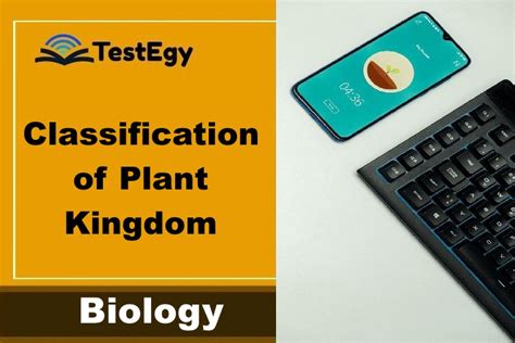 Classification Of Plant Kingdom SSCEgy