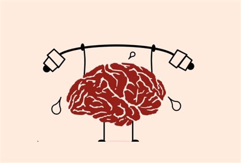 Staff Training Security Services Uk Anubis Group