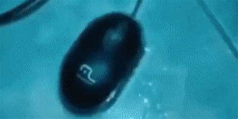 When I Receive An Email With My Password In Plain Text The Coding