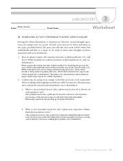 Pre Lab Week Homework PP Pdf LABORATORY Maddy Buckley Name Team Name Worksheet