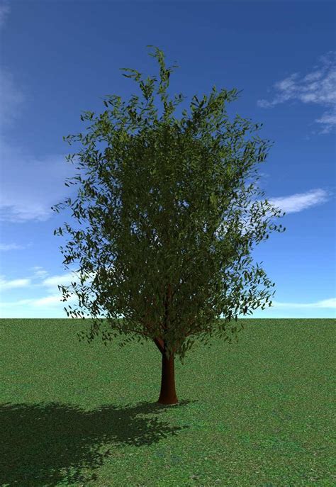 Visualization Of A C Computer Generated Or Reference Tree And Download Scientific Diagram