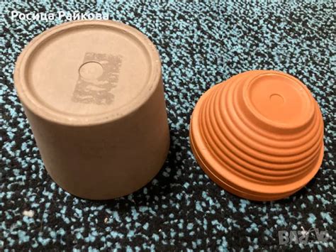 Саксии в Саксии и кашпи в с Равда Id48494039 — Bazarbg