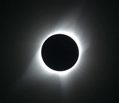 Total Eclipse Day Freebies And Offers