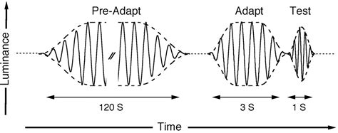 Adaptation From Invisible Flicker Pnas