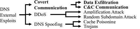 Typical Types Of Dns External Exploits Threats Download Scientific