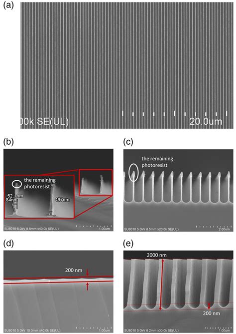 A Part View Scanning Electron Microscopy Sem Image Of The A Part View Scanning Electron Microscopy Sem Image Of The
