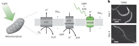 alexis lomakin אל posted on linkedin