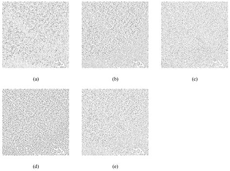 A Sar Image Despeckling Method Based On Hosvd Using Tensor Patches