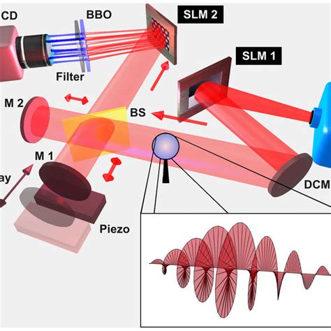 Spatially Resolved Temporal Coherence Of Few Cycle Pulses Without And Download Scientific