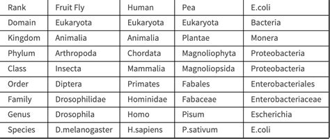 Format A Table Of Data—wolfram Language Documentation