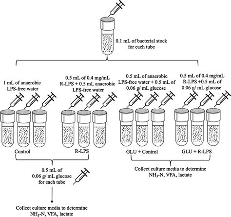 Experimental Procedure Flowchart Experiment 2 Control Control Group Download Scientific