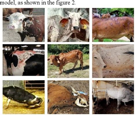 Figure 2 From Integrating Convolutional Neural Networks And Support