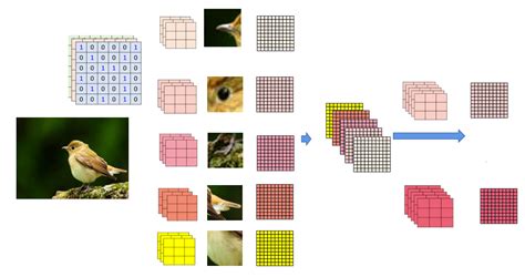 深度学习05——图像分类深度学习 图像分类 Csdn博客