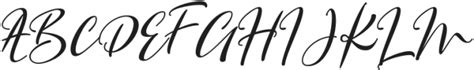 think road regular otf 100 font script elegant what font is