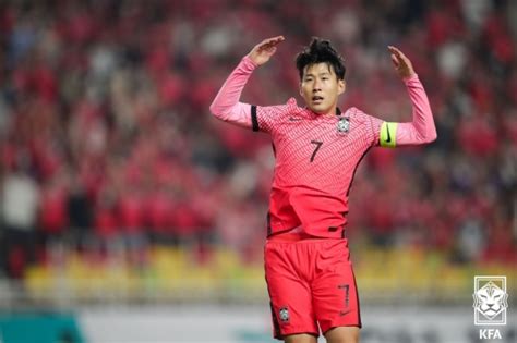 한국 초대형 호재 손흥민 수술 성공적 월드컵 출전 긍정적 英매체 네이트 스포츠