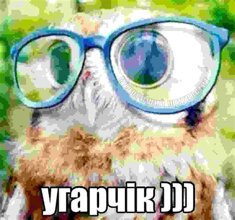 Пин от пользователя Кетрин и на доске Алиса В Стране Чудес в 2025 г Смешные рожи Веселые мемы