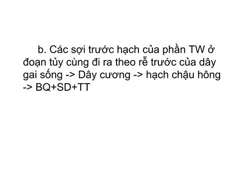 H Th N Kinh T Ch Ppt