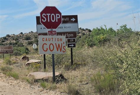 Soda Springs Road Camping Rimrock Arizona