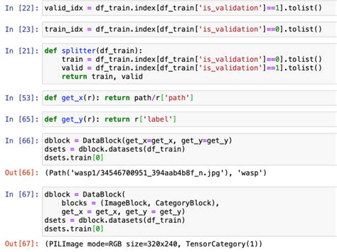 Datablock Splitter Error Image Part 1 2020 Fastai Course Forums