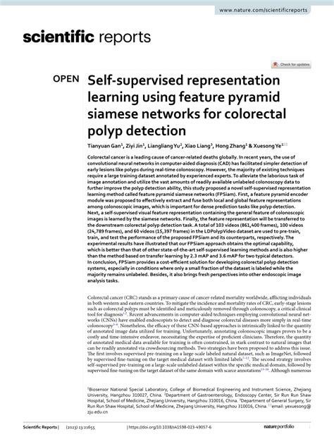 pdf self supervised representation learning using feature pyramid