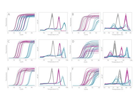 Verifi® Library Amplification Mix For Ngs Pcr Biosystems