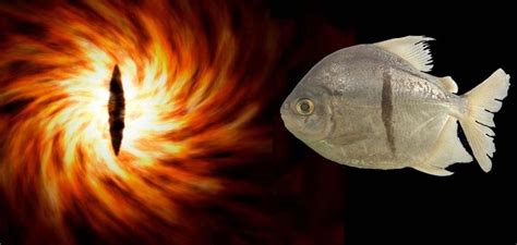 چرا این ماهی به نام شیطان ارباب حلقه‌ها نامگذاری شده است؟