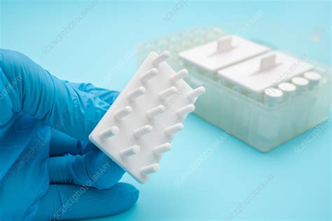 Multi Pronged Device For Skin Prick Allergy Test Stock Image F042