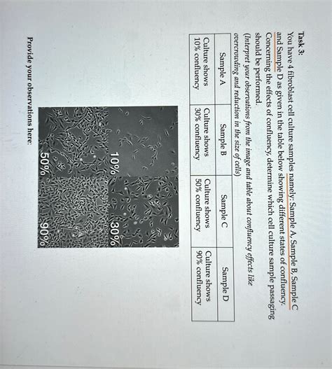 Task 3 You Have 4 Fibroblast Cell Culture Samples Namely Sample A