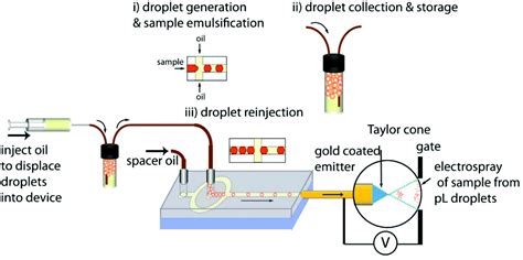 high throughput screening of complex biological samples with mass