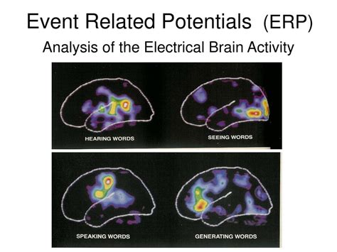 Ppt Event Related Potentials Erp Powerpoint Presentation Free