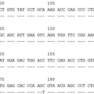 Alignment Of The Sequence Of Exon 3 Of DRB3 02 02 17 With The Sequence Download Scientific