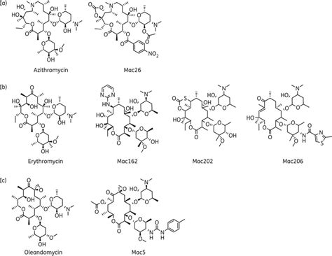 Structures Of The Five Novel Derivatives Of Azithromycin Erythromycin Download Scientific