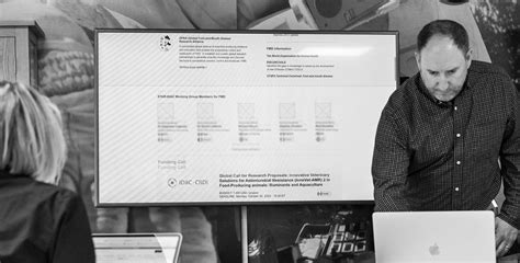 Modular Strategy User Experience Audience Engagement