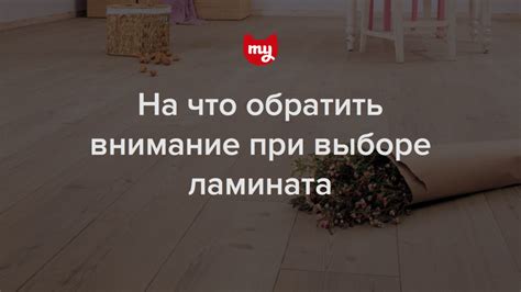 5 советов как выбрать правильный ламинат — Inmyroom