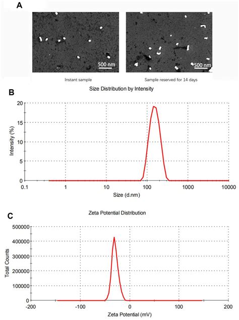 Characterization Of Solid Lipid Nanoparticles Slns A The Download Scientific Diagram