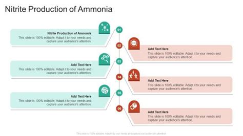 Nitrite Production Of Ammonia Powerpoint Presentation And Slides Ppt Sample Slideteam