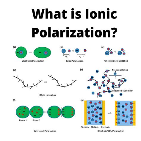 What Is Ionic Polarization Experts Electrical