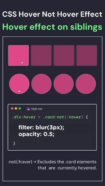 Hover Effect On Siblings Css Webdesign Youtube