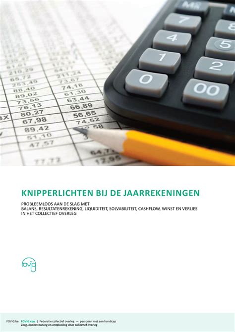 De Jaarrekening Beoordelen Fovig