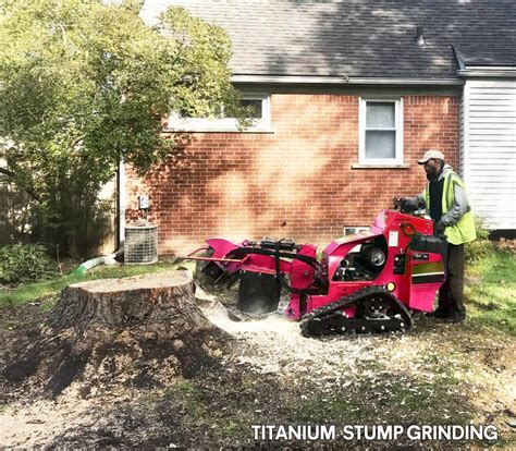 Team Work Photos West Bloomfield Tree Service Removal