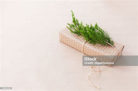 멋진 프레스는 공예 용지에 싸여 사이프러스 지점으로 장식 Diy에 대한 스톡 사진 및 기타 이미지 Diy 겨울 공예 Istock