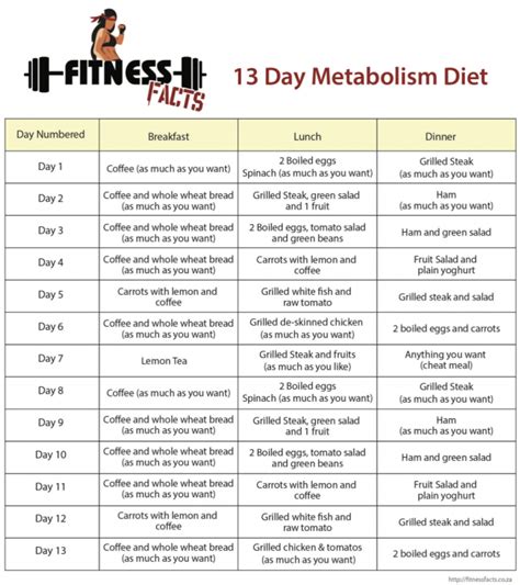 Review Of The 13 Day Metabolism Diet
