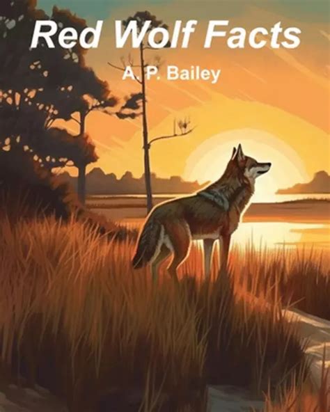 Red Wolf Facts Fifteen Fun Facts About Red Wolves Illustrated By Ap