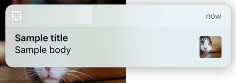 ios image from attachment from local notification is not shown in