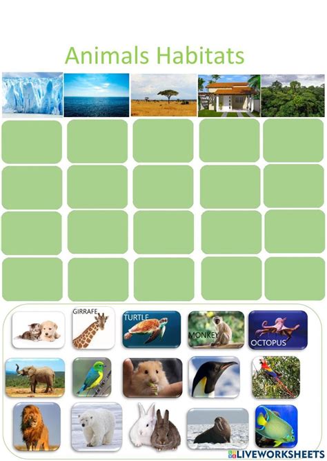 Animals Habitats Online Activity Animal Habitats Animal Habitats