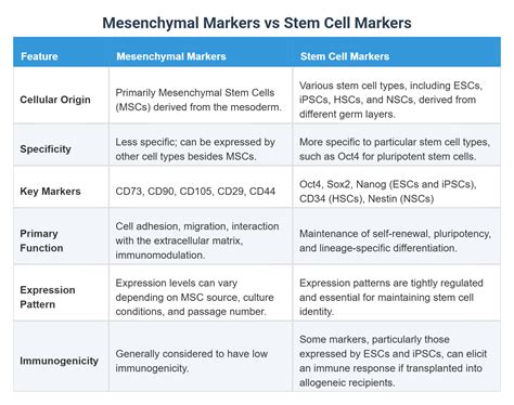 Mesenchymal Markers Vs Stem Cell Markers