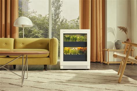 Lgs Indoor Garden Appliance Grows Vegetables And Herbs All Year Round